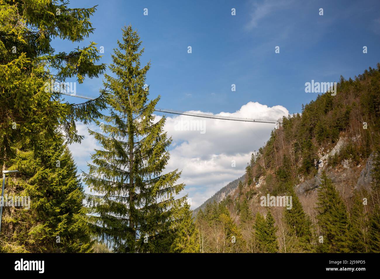 Suspension bridge highline 179 hi-res stock photography and images - Alamy