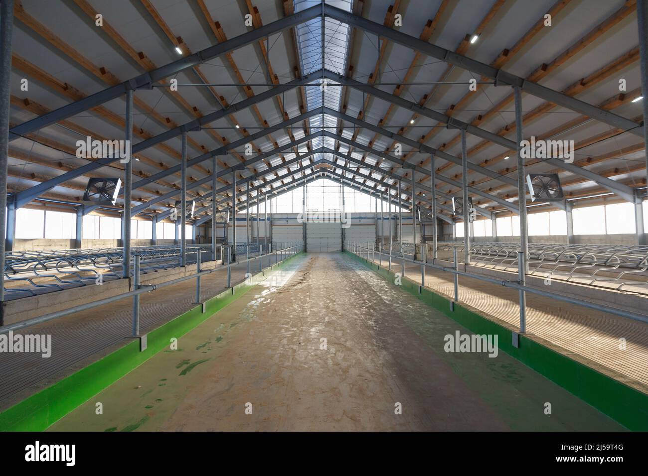 Large cowshed for dairy cows in the final stage of construction Stock ...