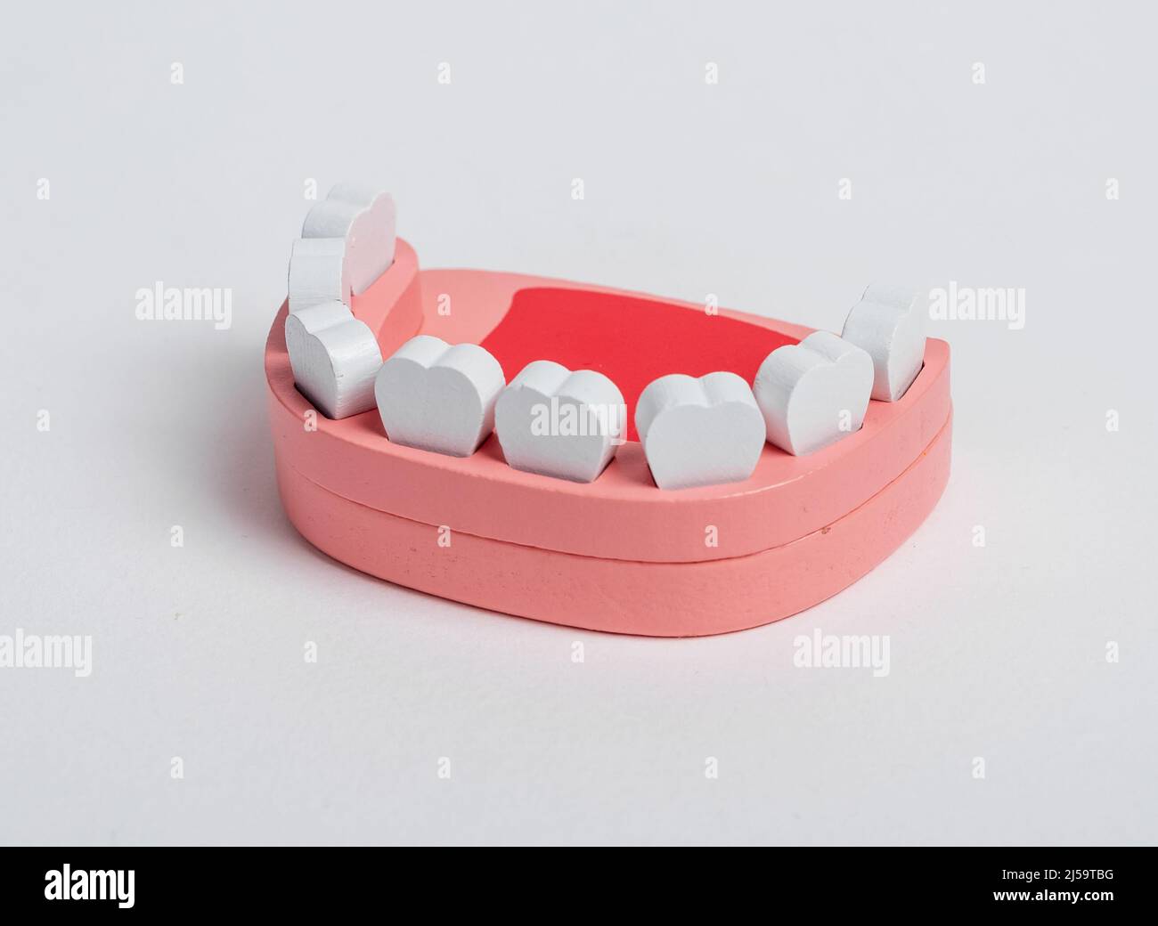 Wooden human jaw model with teeth. Dental care, oral hygiene concept ...