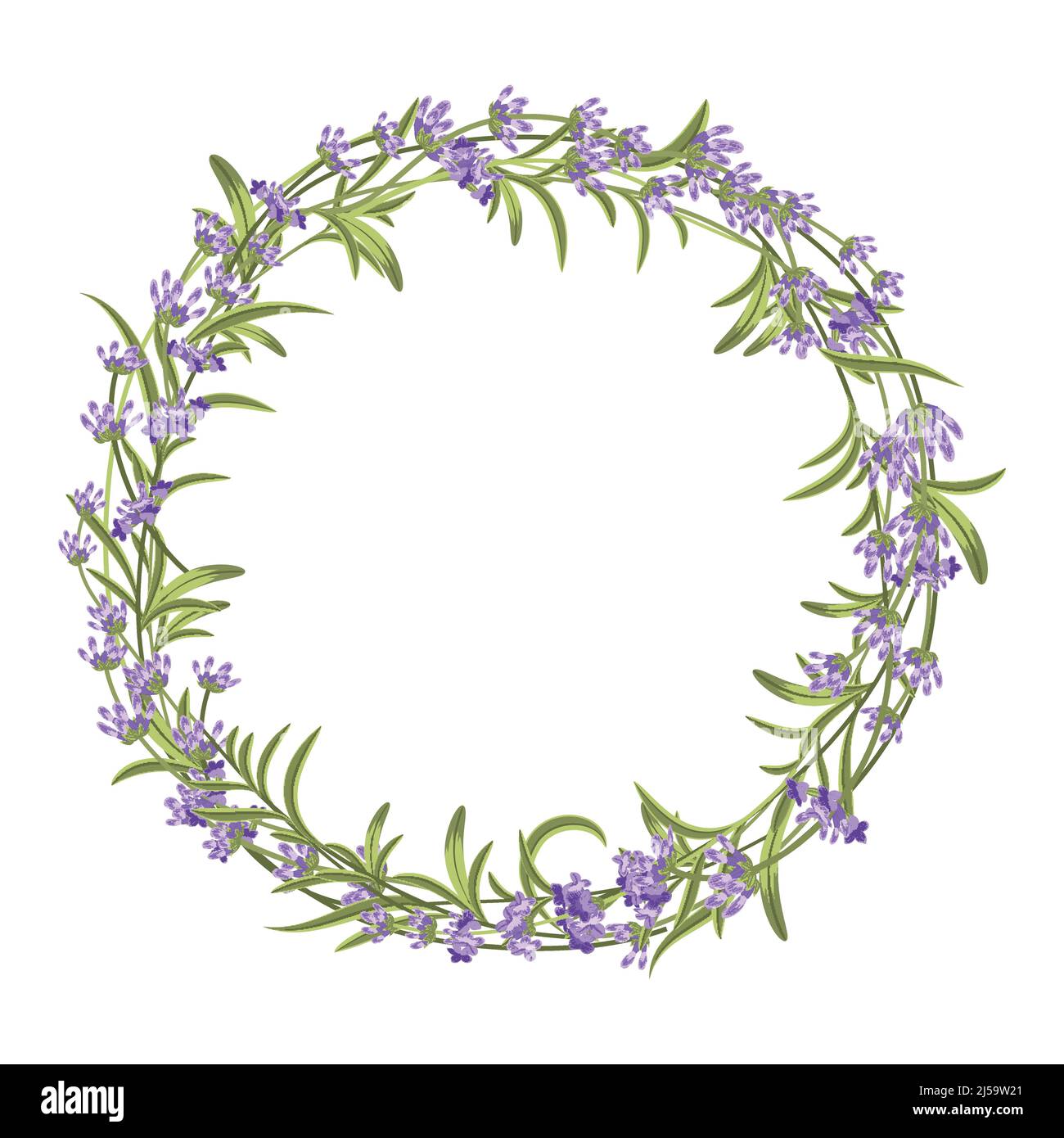 Lavender wreath. Vector illustration for decorations. Frame floral ...