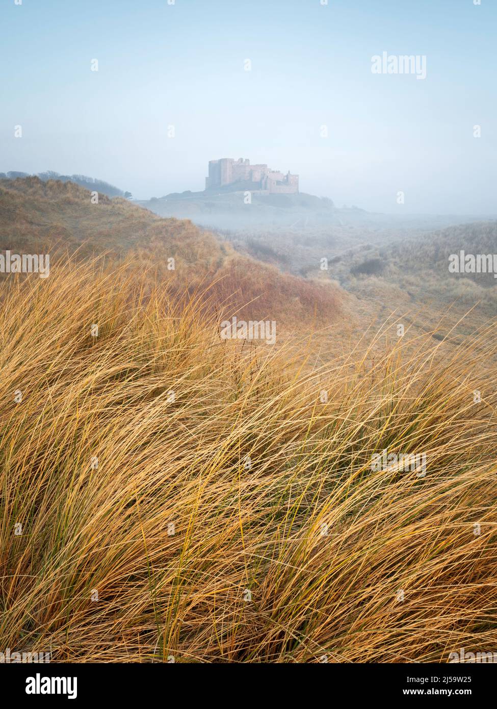 Beautifully textured marram grass frames Bamburgh Castle on a perfectly ...