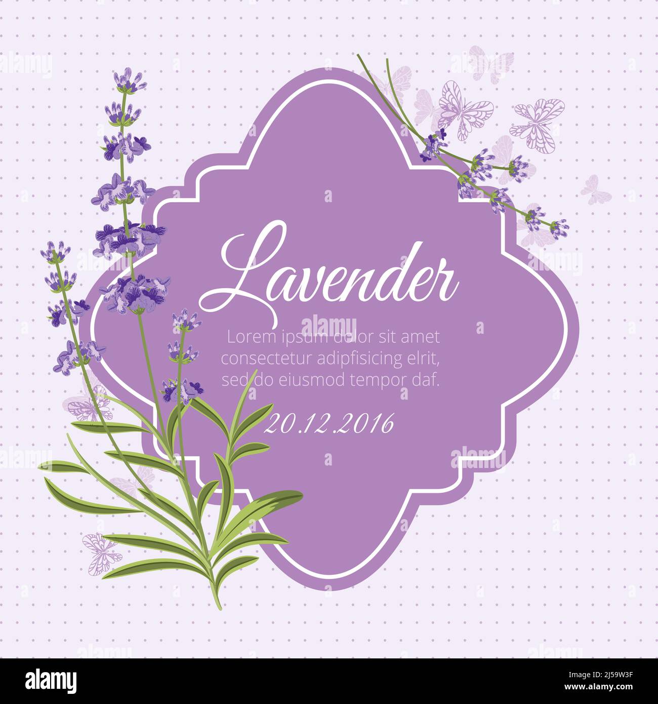 Greeting card, invitation vector template with fragrant lavender ...