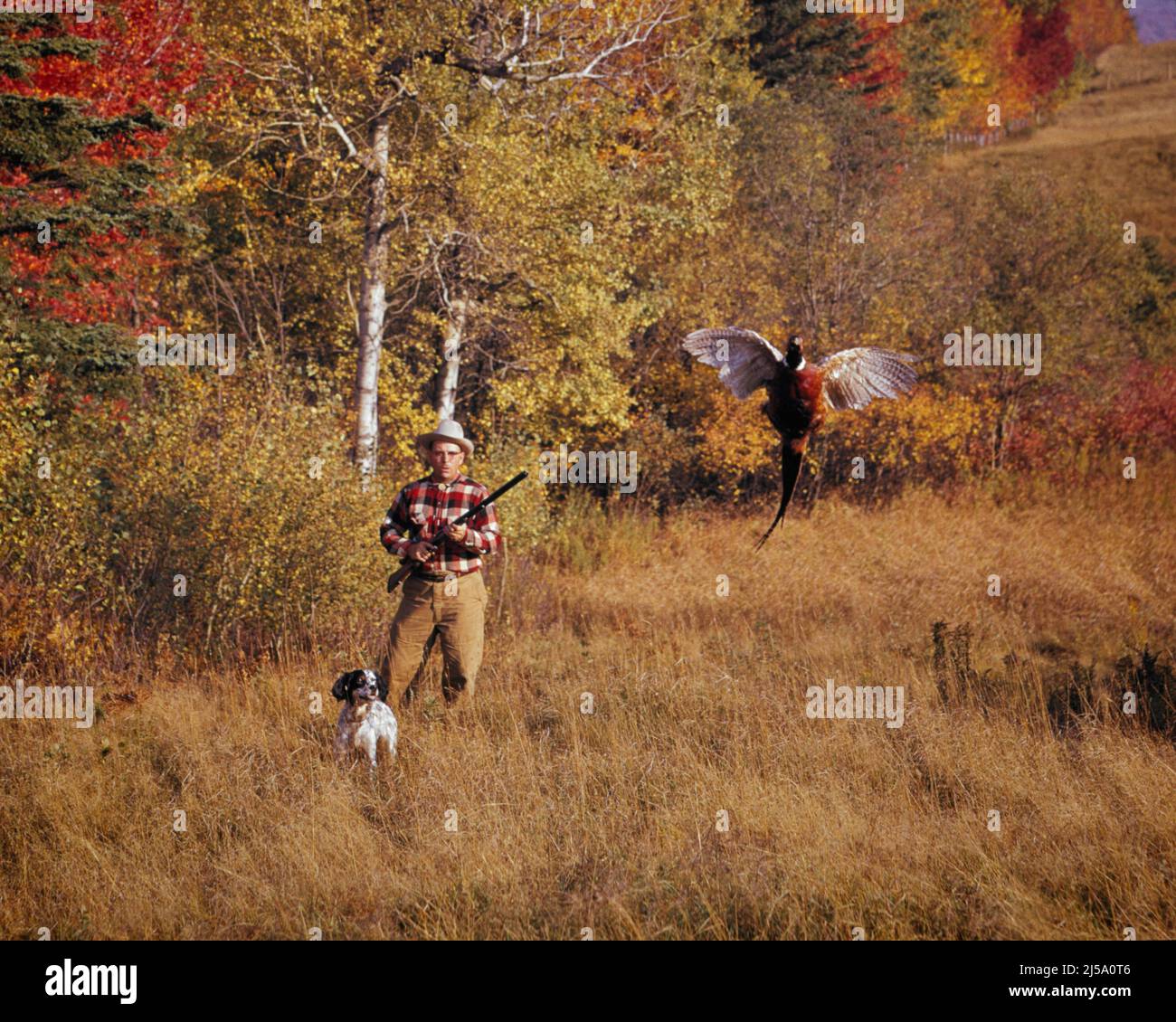 1960s fashion shoot hi-res stock photography and images - Alamy