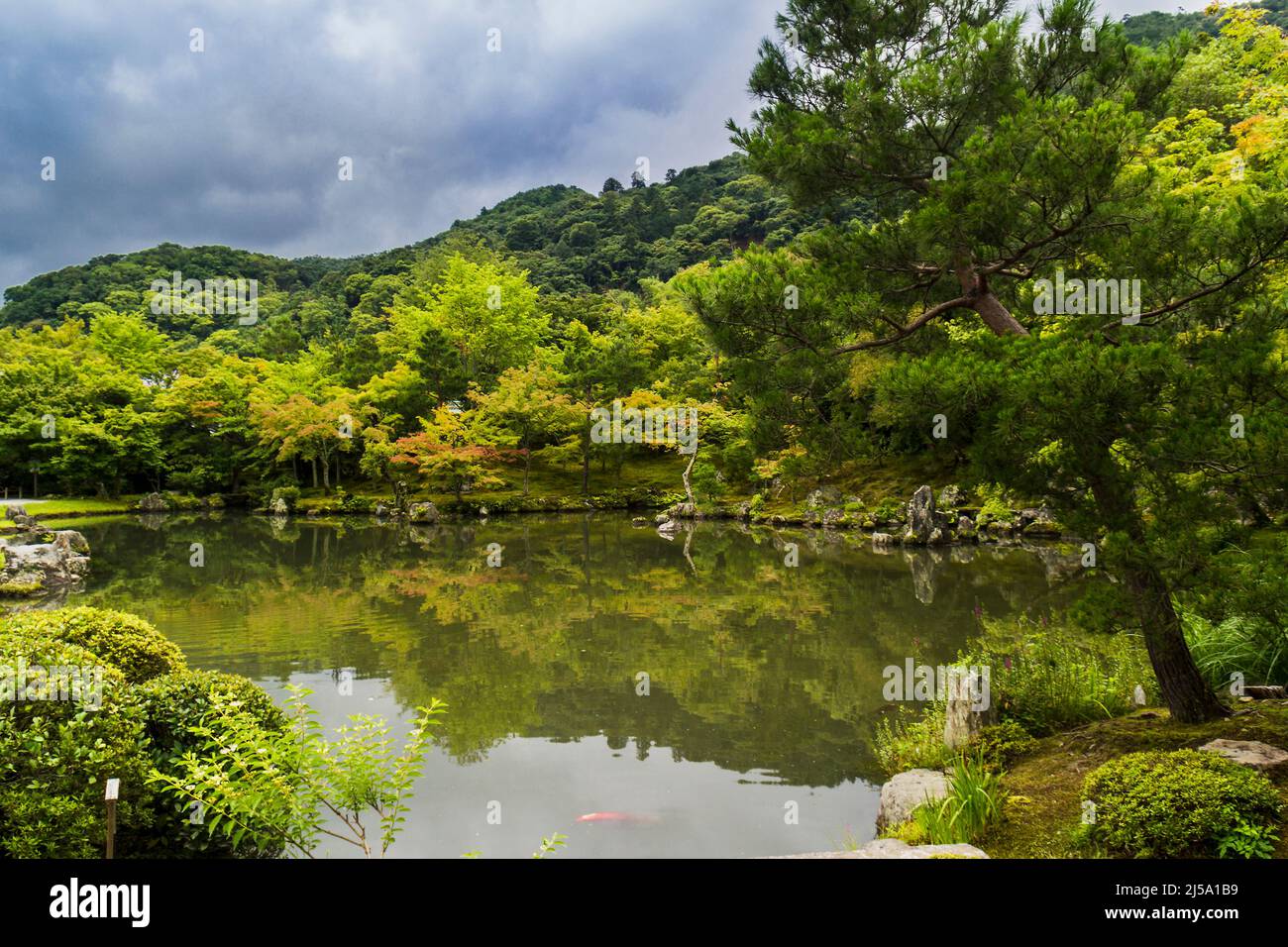 Japanese garden, Japan Stock Photo - Alamy