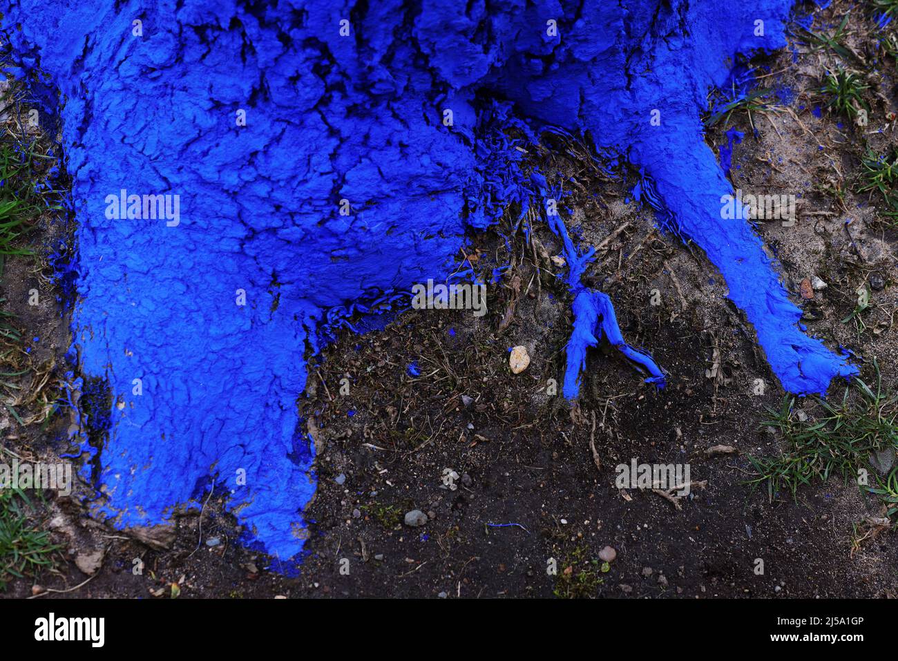 Bluetrees High Resolution Stock Photography and Images - Alamy