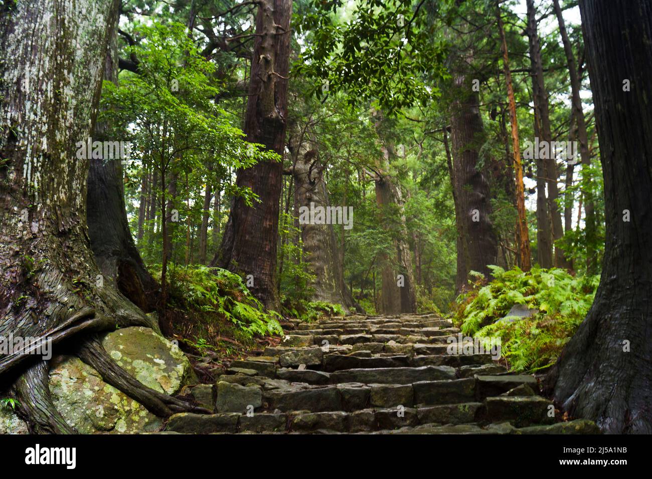 Daimon Zaka, Kumano Nachi Taisha, Kii, Japan Stock Photo - Alamy