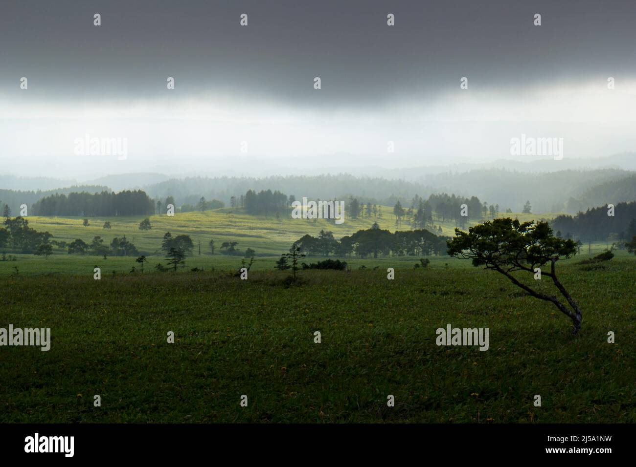 Akan national park hi-res stock photography and images - Alamy