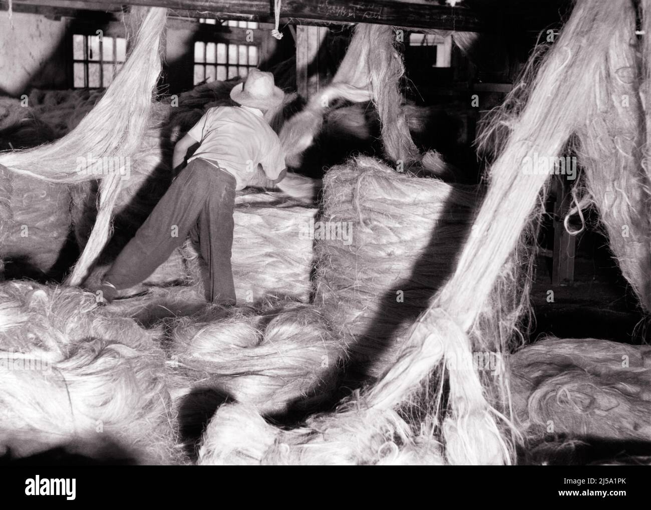 1930s FILIPINO WORK BALING MANILA HEMP MADE FROM ABACA LEAVES AND USED ...