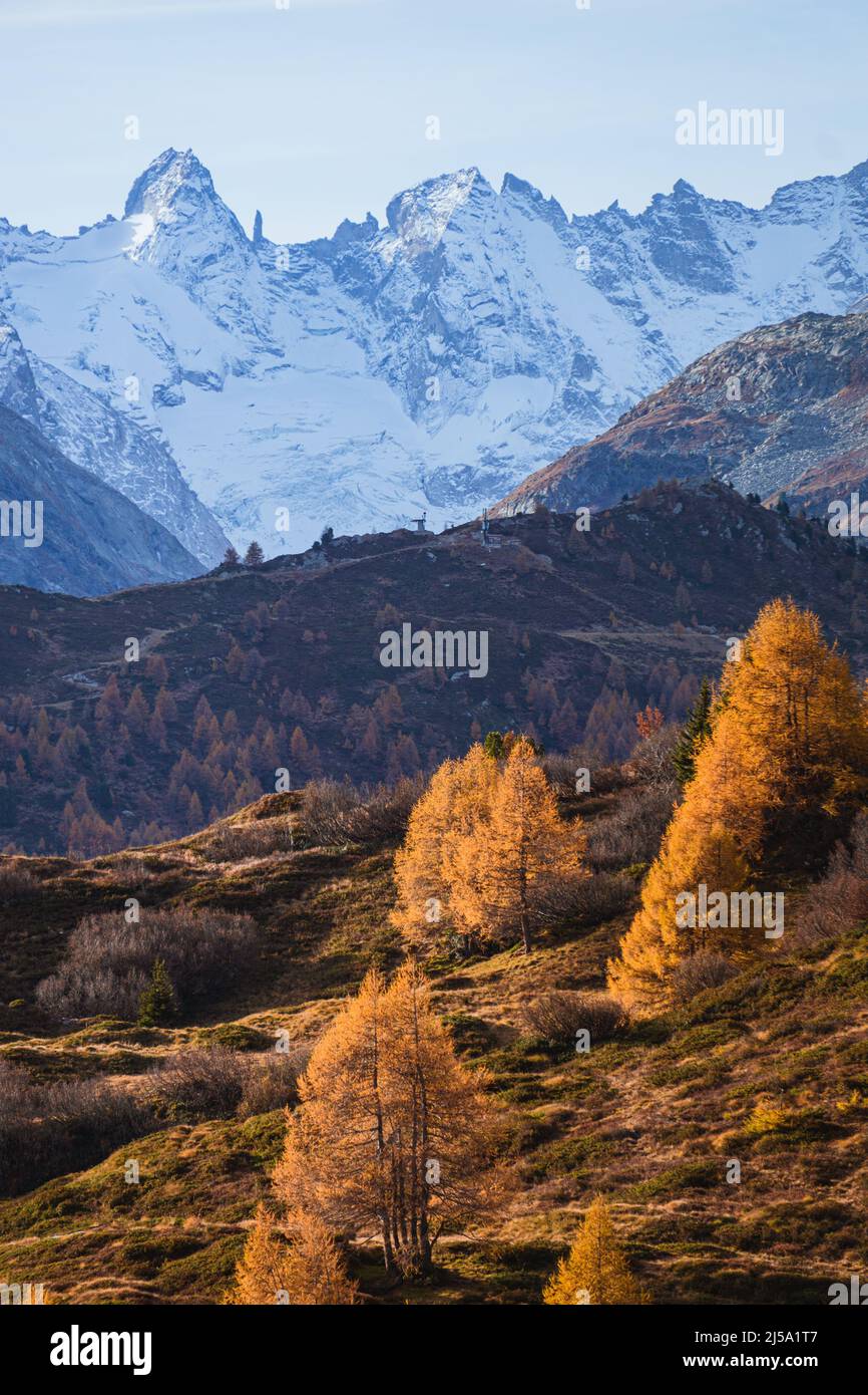 The woods and nature of Engadine: one of the most beautiful and famous ...