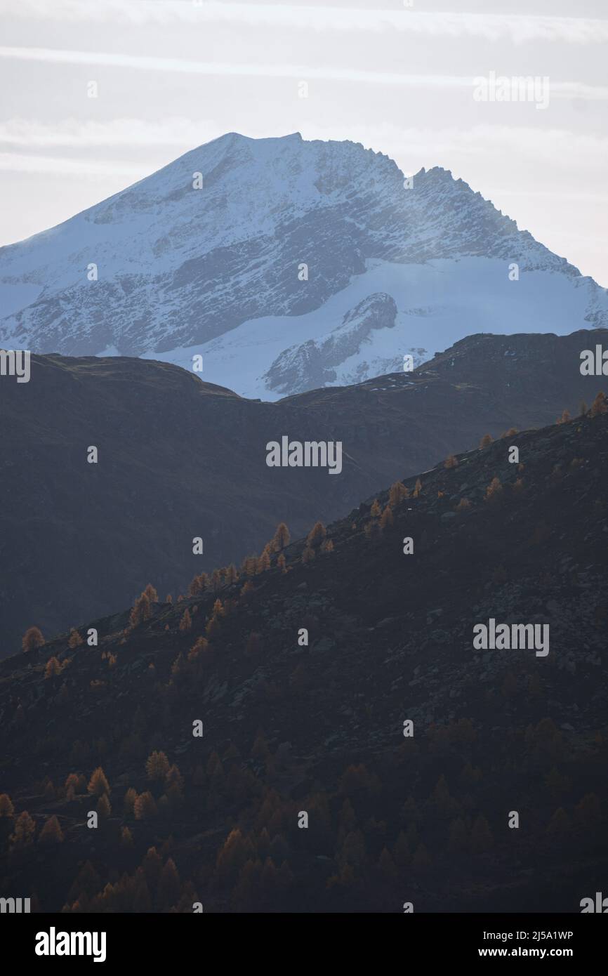 The woods and nature of Engadine: one of the most beautiful and famous ...
