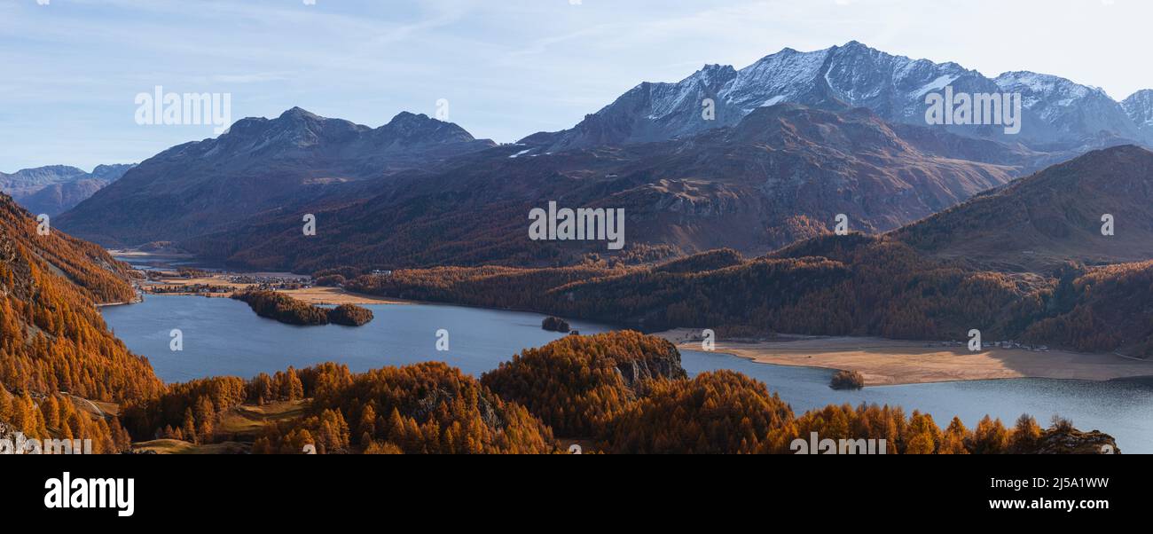 Lake sils in autumn colors: one of the most beautiful alpine lakes in ...