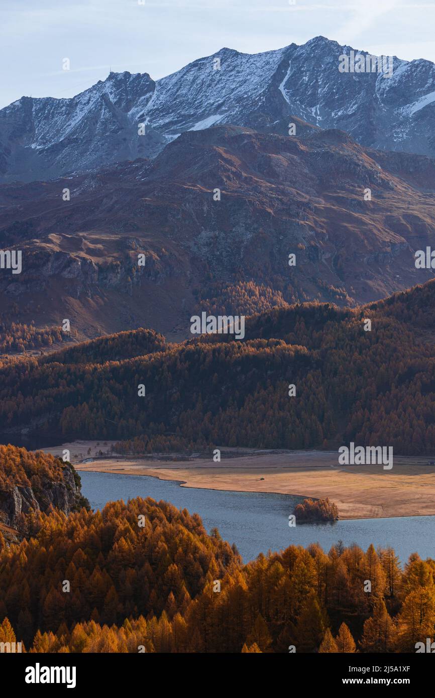 The woods and nature of Engadine: one of the most beautiful and famous ...