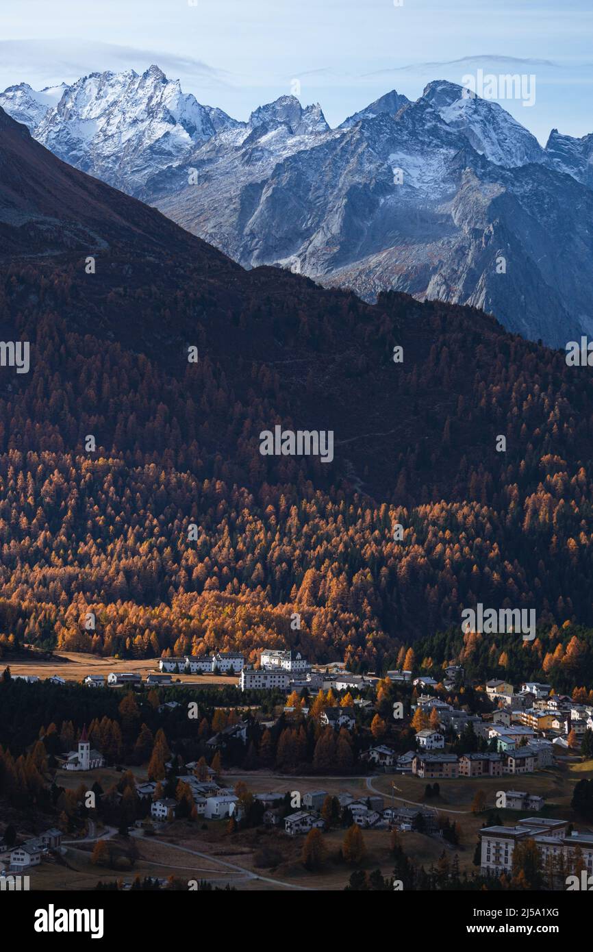 The woods and nature of Engadine: one of the most beautiful and famous ...