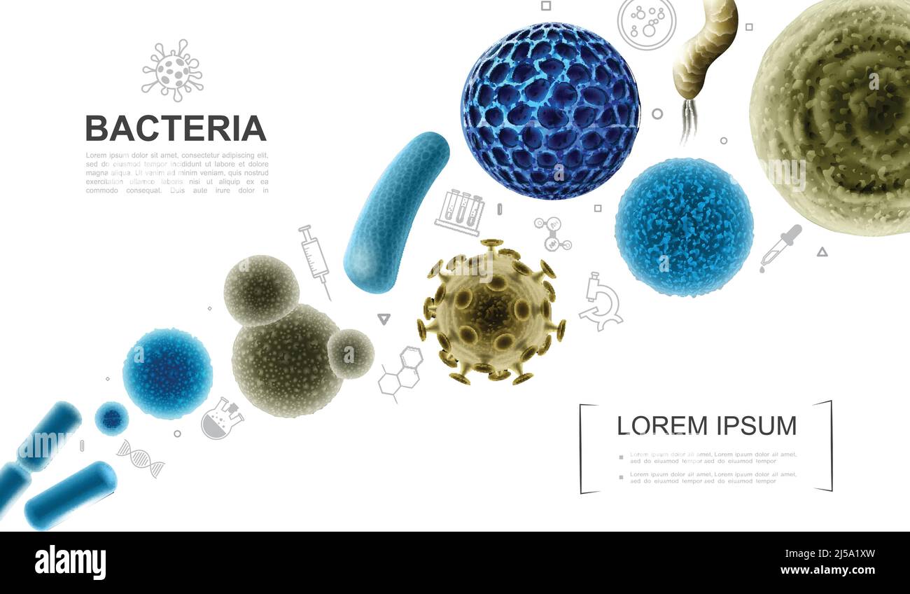 Realistic biological microorganisms collection with bacteria viruses ...