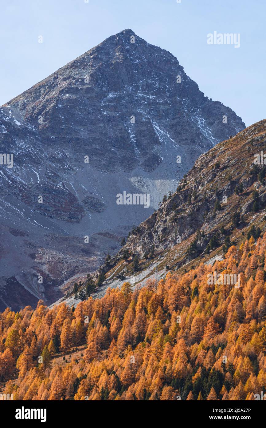 The woods and nature of Engadine: one of the most beautiful and famous ...