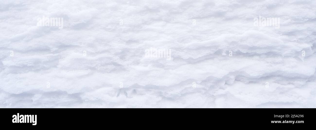 Banner. Winter snow. Snow texture Top view of the snow. Texture for ...
