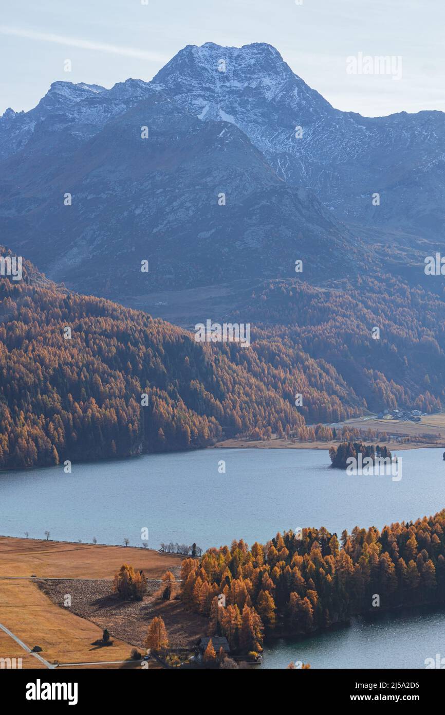 The Lake Sils: one of the most beautiful lake of the Swiss Alps, near ...