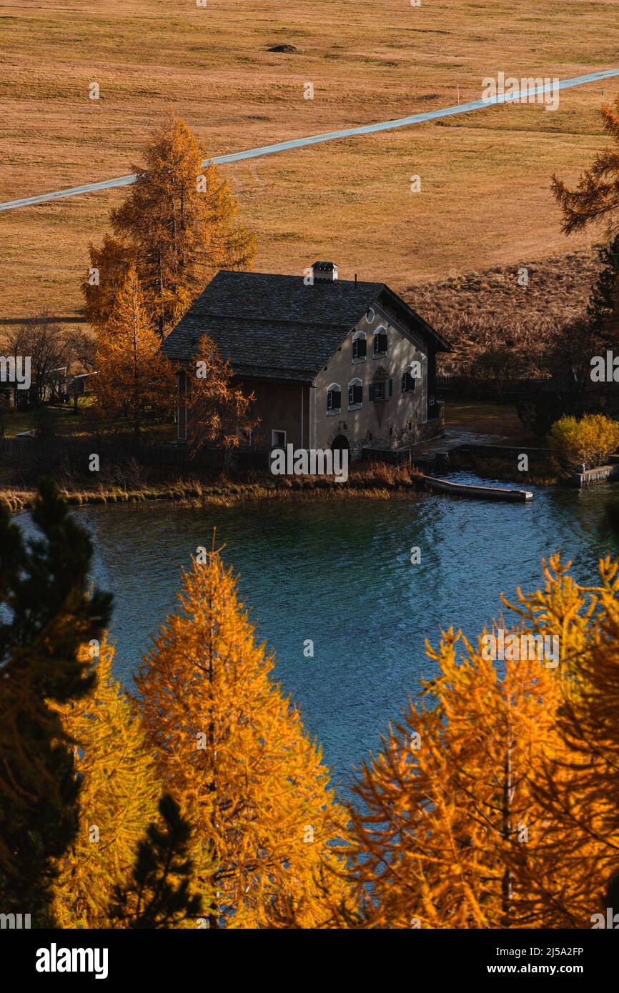 The woods and nature of Engadine: one of the most beautiful and famous ...