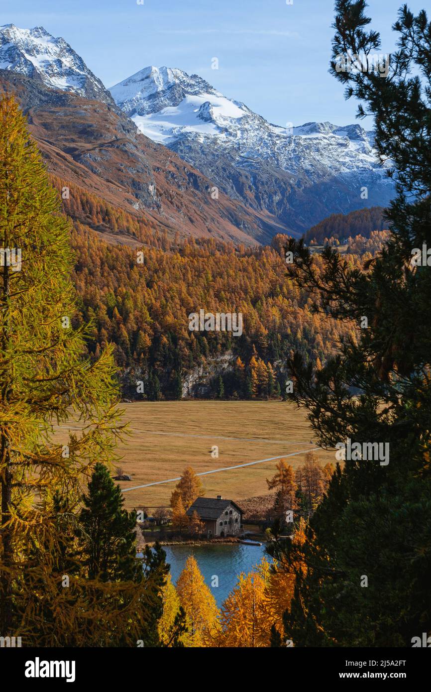 The woods and nature of Engadine: one of the most beautiful and famous ...