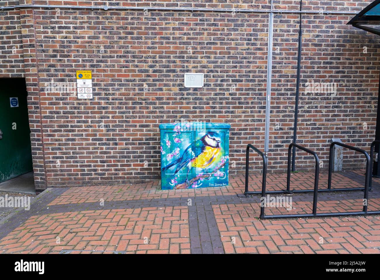 Painting of blue tit by Sian Storey Art on a street cabinet in ...