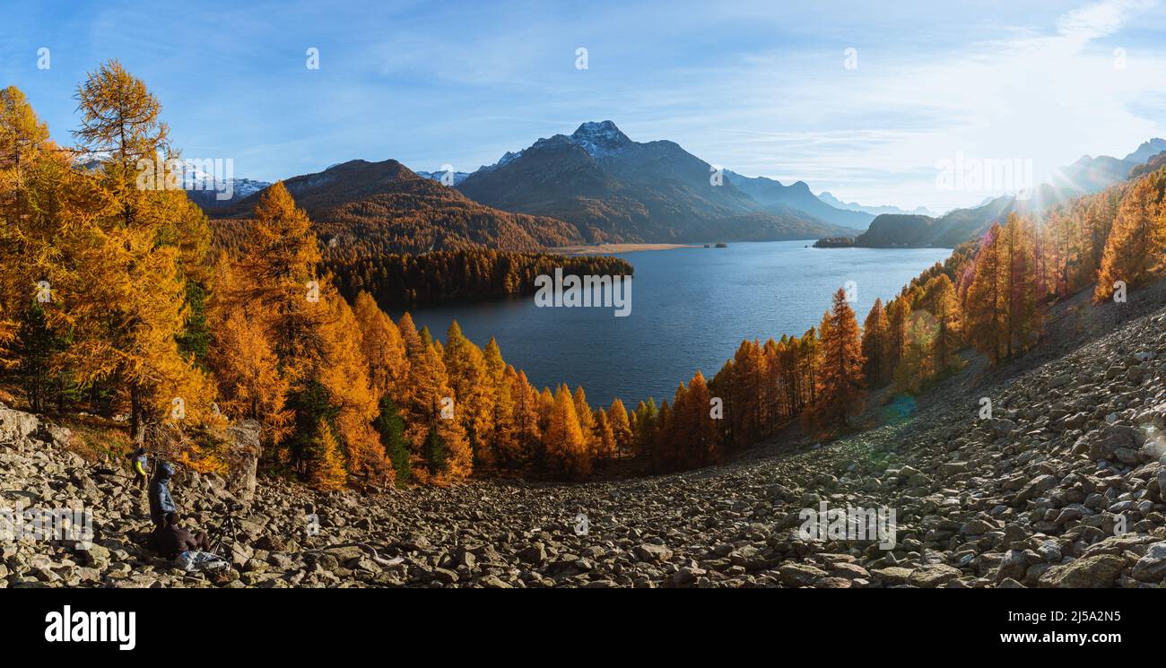 Lake sils in autumn colors: one of the most beautiful alpine lakes in ...