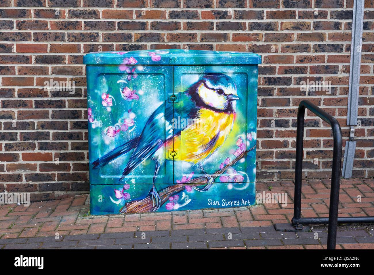 Painting of blue tit by Sian Storey Art on a street cabinet in ...