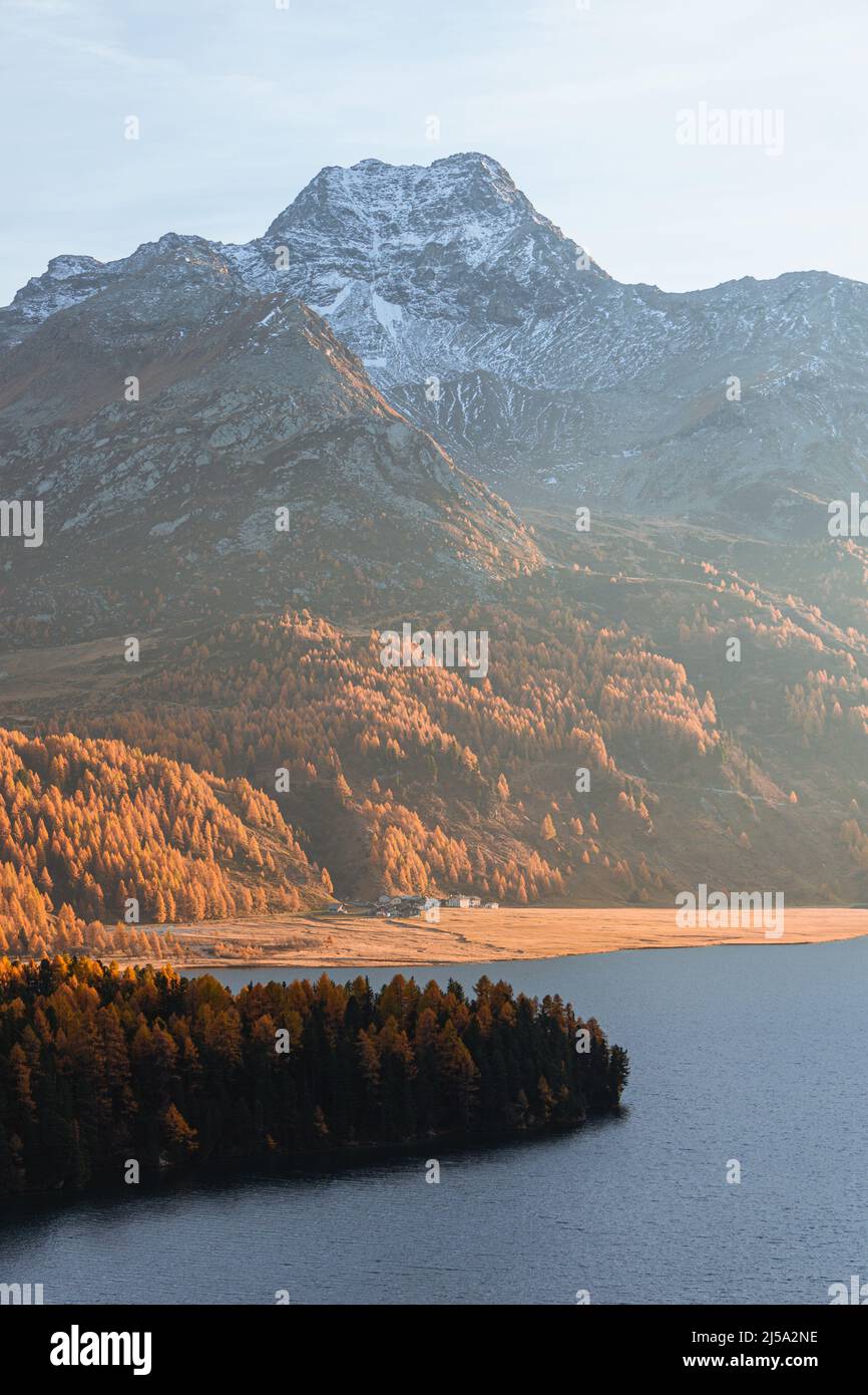Lake sils in autumn colors: one of the most beautiful alpine lakes in ...