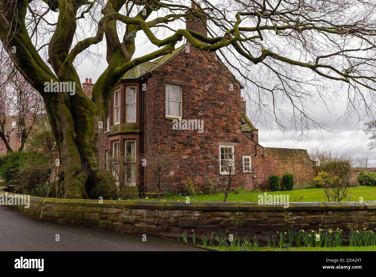 Old brick house and tree in English city on a rainy Spring morning ...