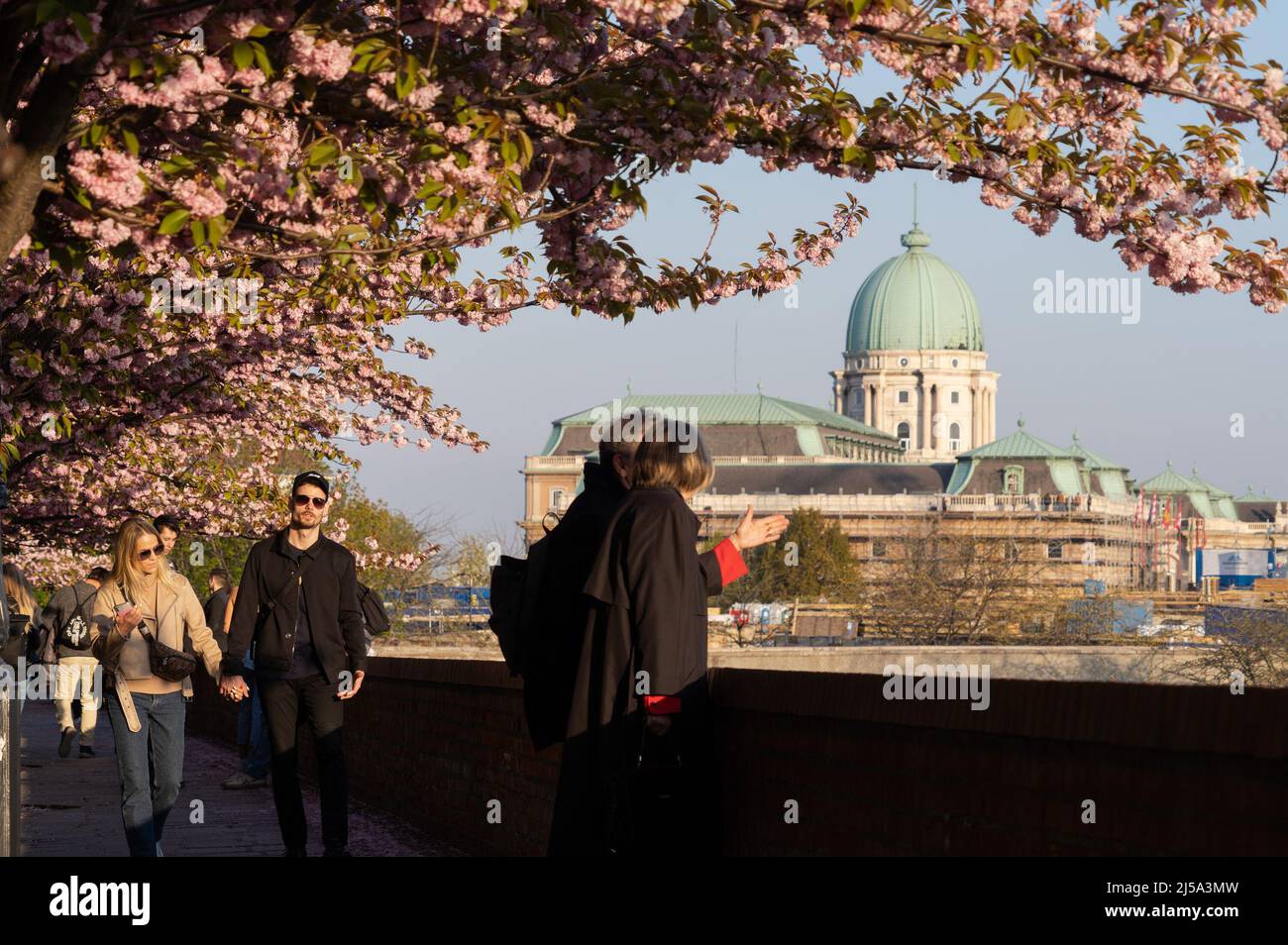 Budapest, Hungary. 21st Apr, 2022. People are seen under cherry ...