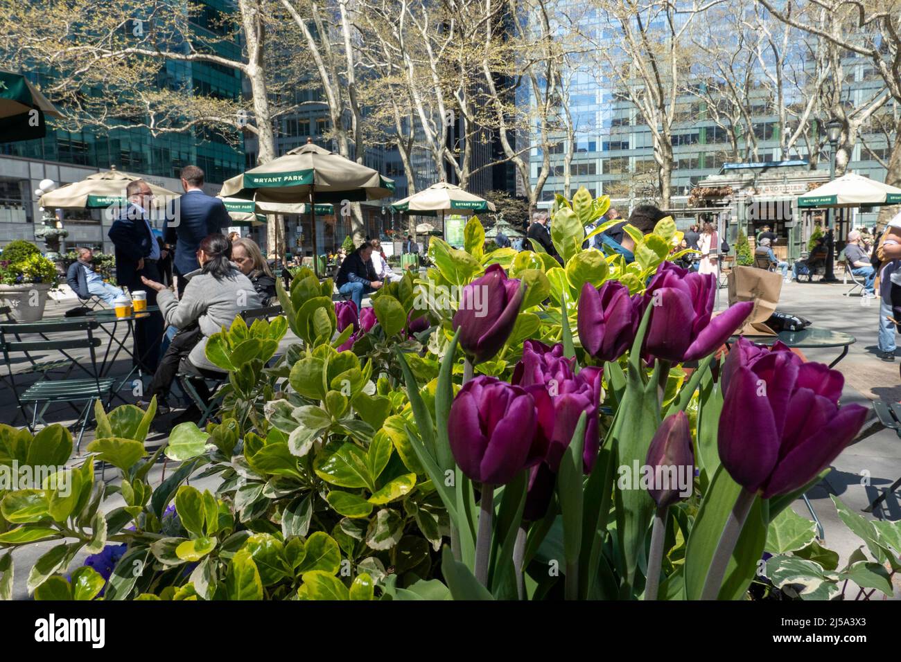 Bryant Park has beautiful landscaping in springtime, New York City, USA ...