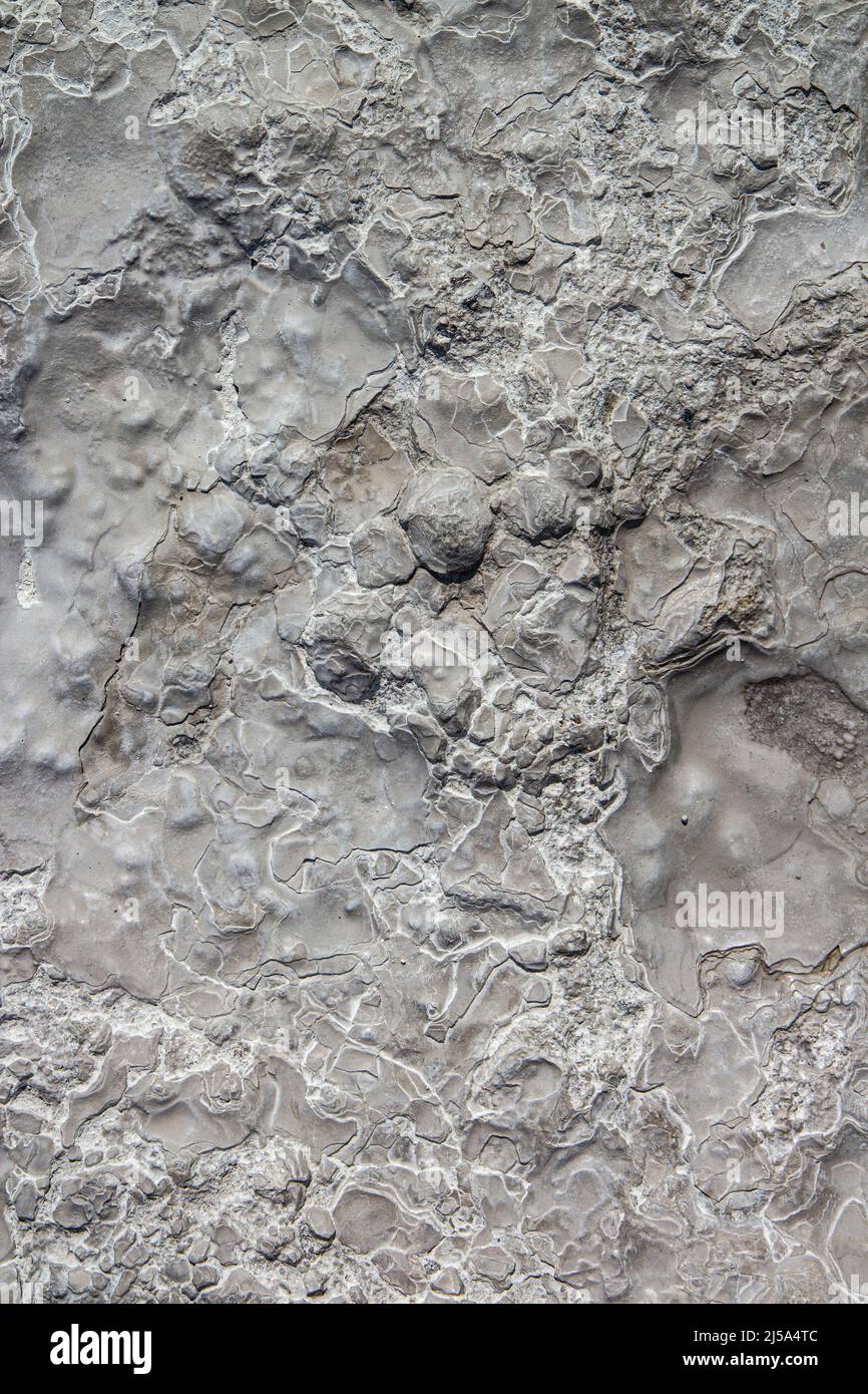 Stone texture covered with calcium deposits. Pamukale texture. Grey ...