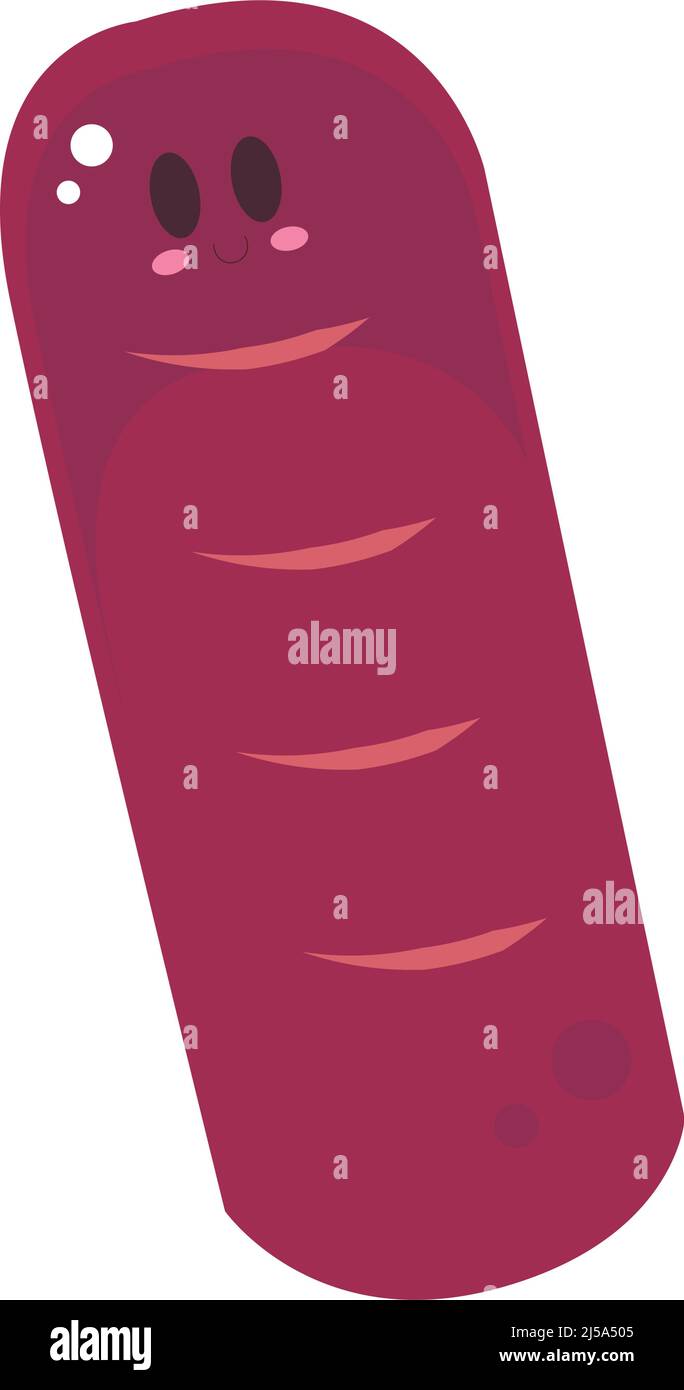 Isolated colored sausage icon Cute design Vector Stock Vector Image ...