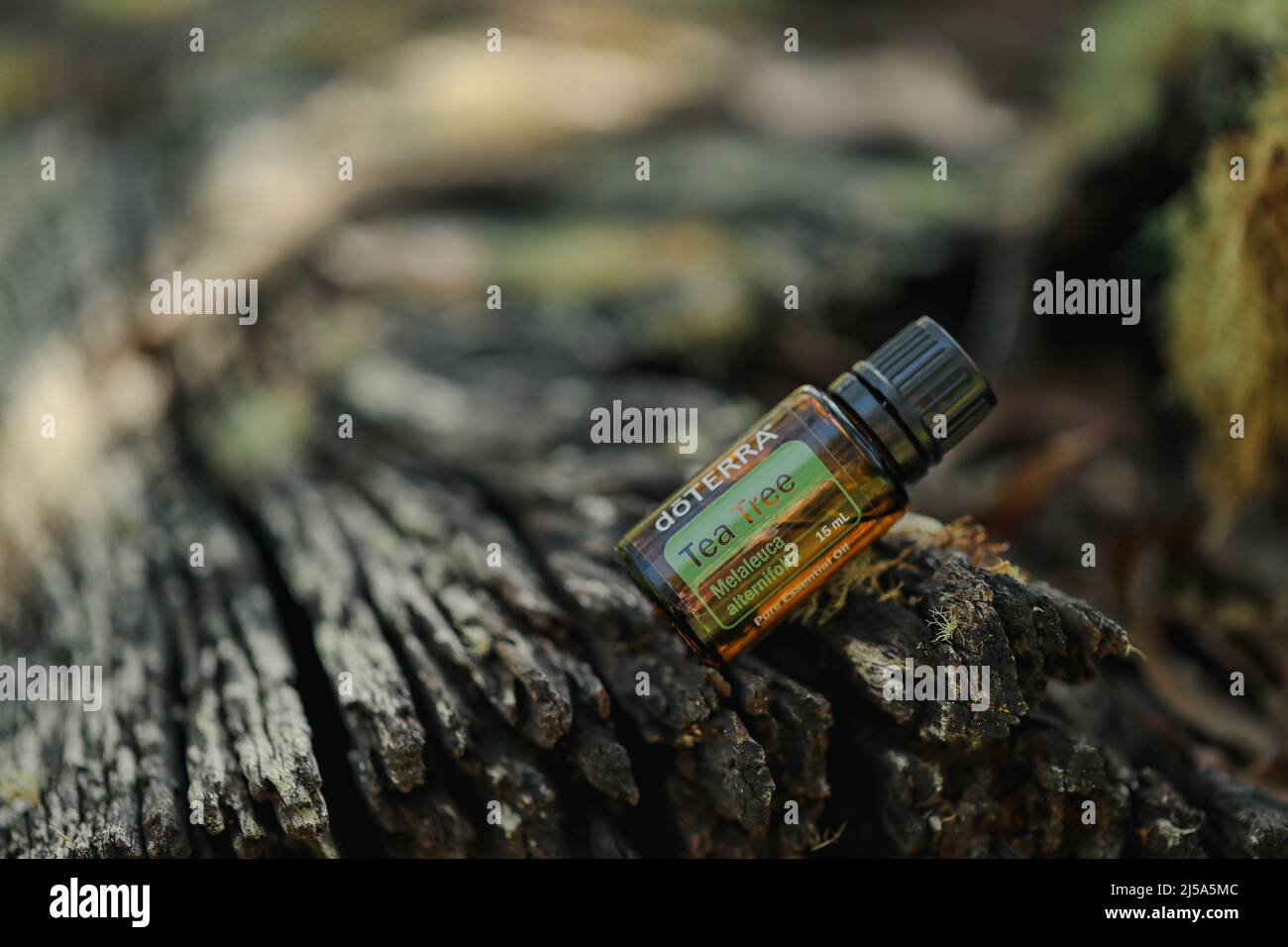 Illustrative editorial image of doterra essential oil Stock Photo - Alamy