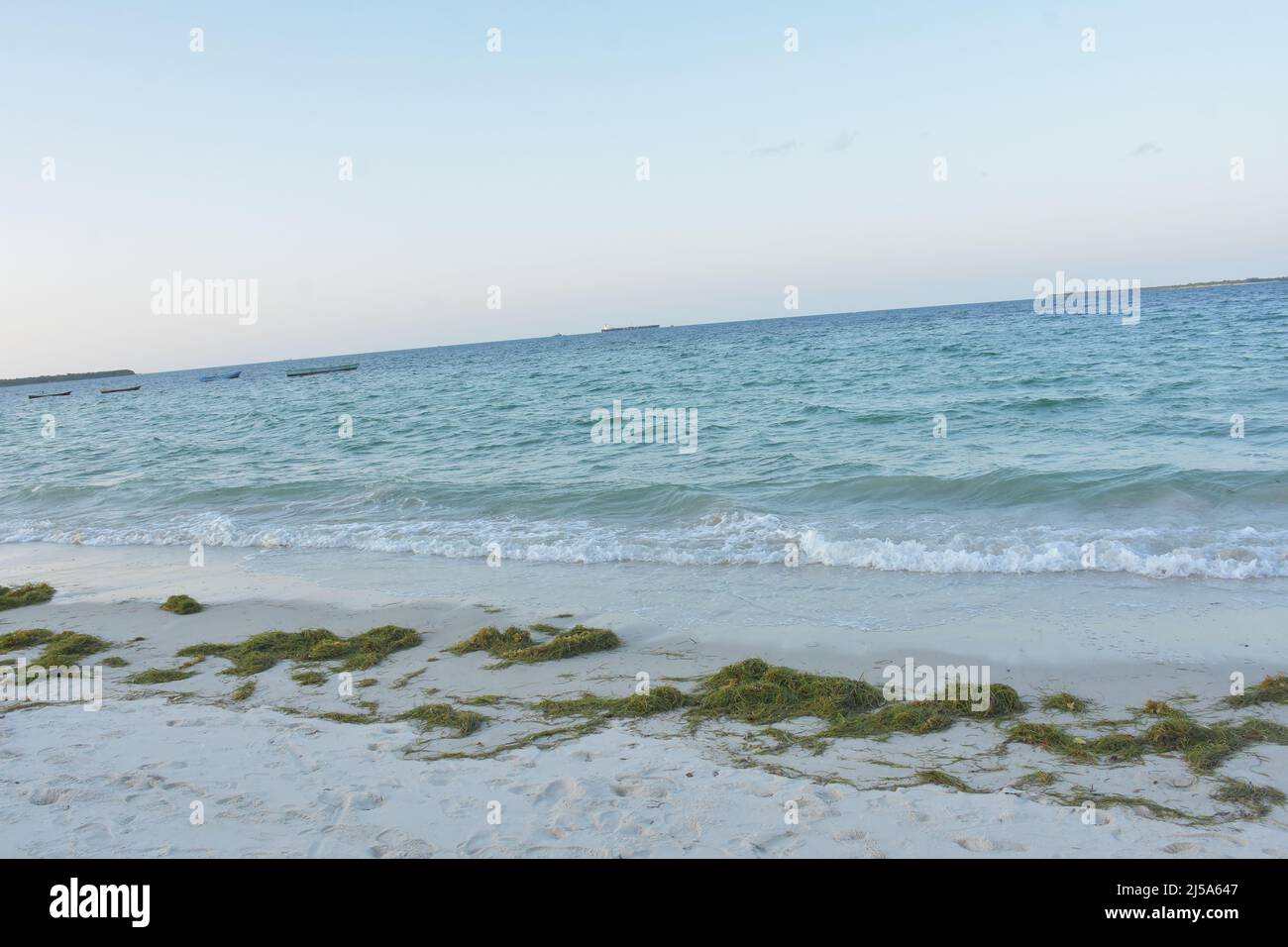 The beauty of the seacost at kigamboni dar es salaam Stock Photo - Alamy