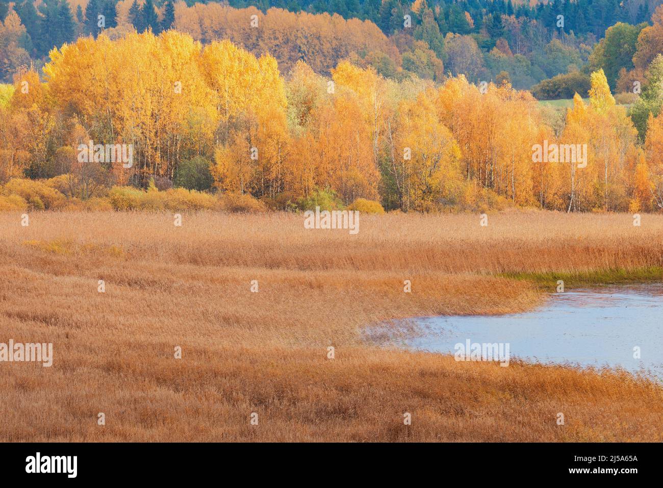 Canada sweden finland hi-res stock photography and images - Alamy
