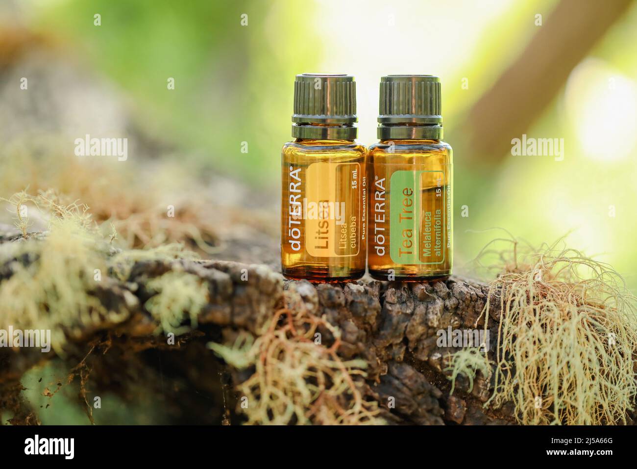 Illustrative editorial image of doterra essential oil Stock Photo - Alamy