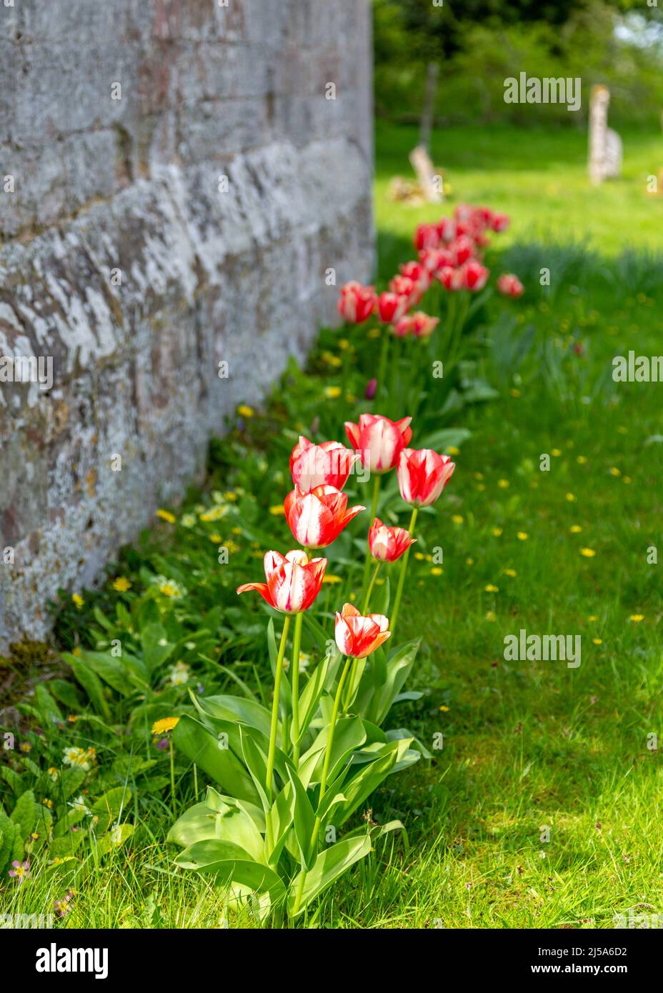 Abbots morton church hi-res stock photography and images - Alamy