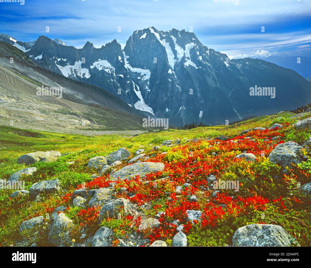 Boston basin hi-res stock photography and images - Alamy