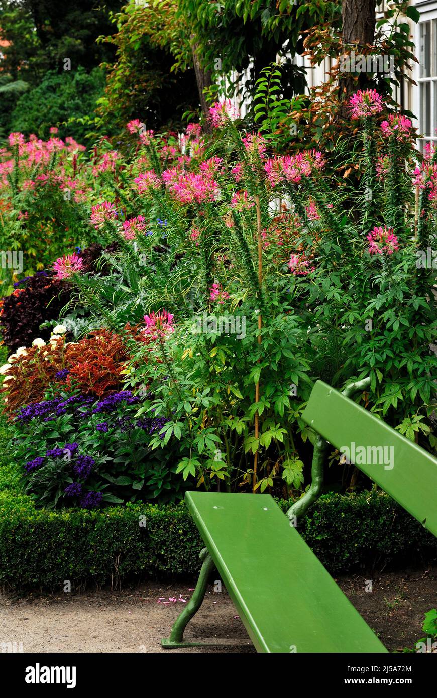 bench, rest, reset, park, trees, calm, energy, nature, greenery, spring ...