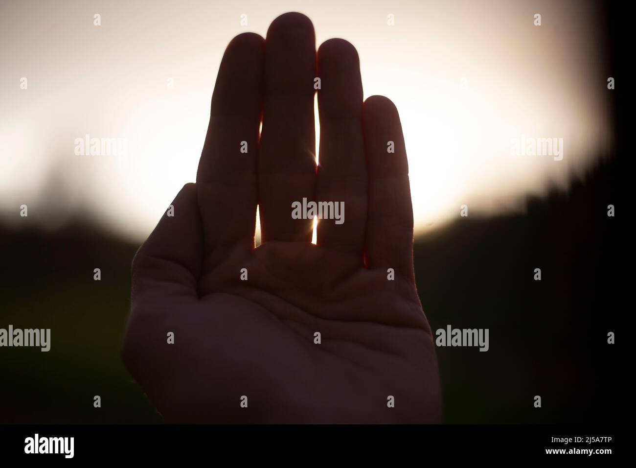 Palm against background of sun. Hand is in details. Fingers let in ...