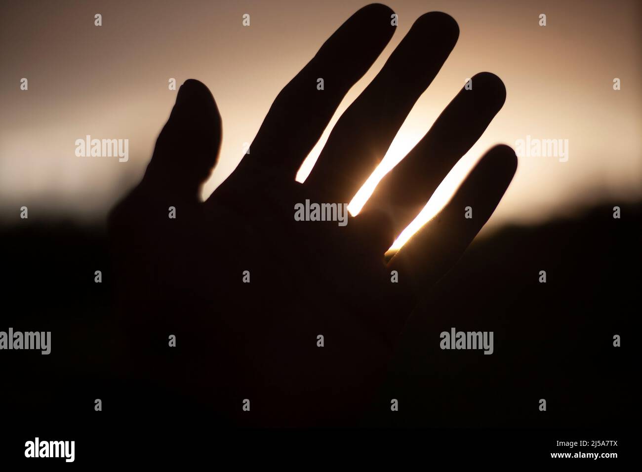 Palm against background of sun. Hand is in details. Fingers let in ...
