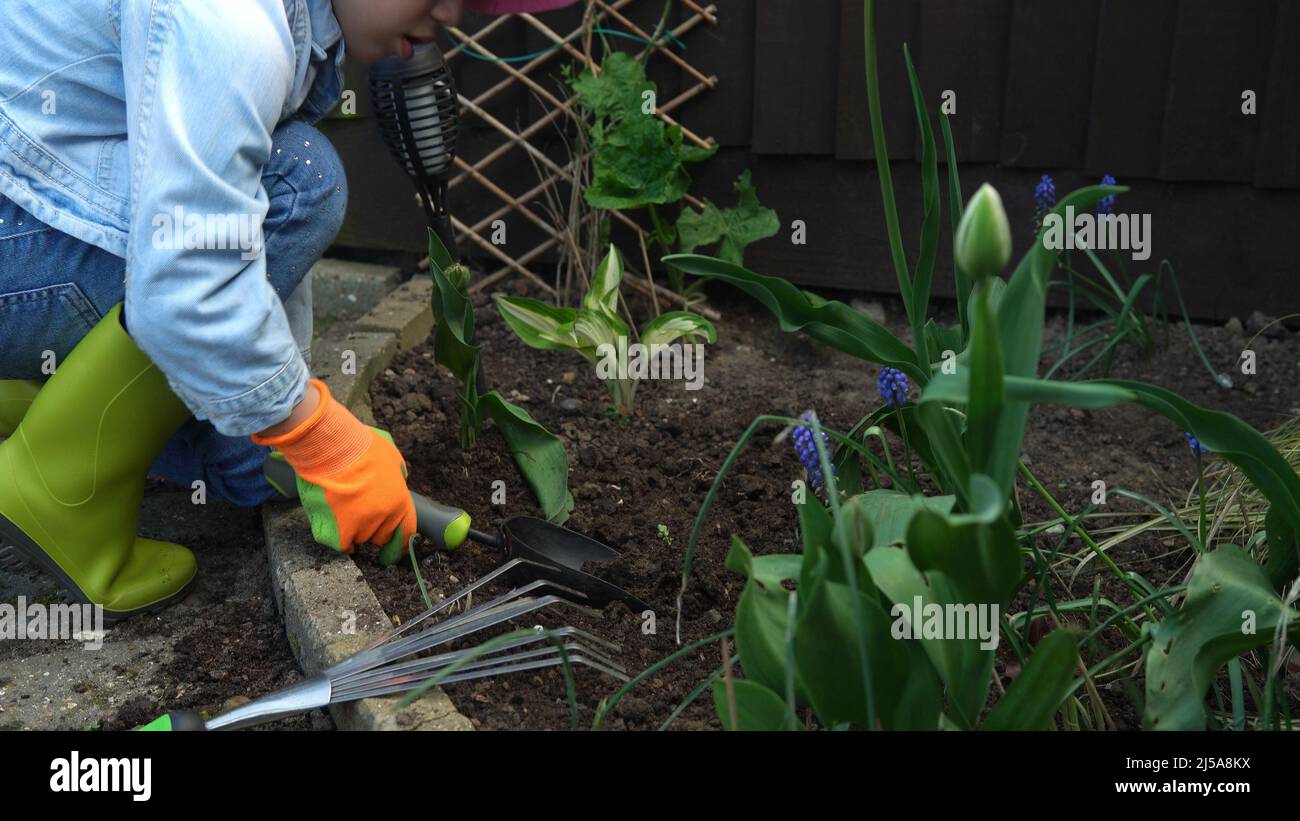 Mother housewife with kids Son Daughter wear works gloves preparing ...
