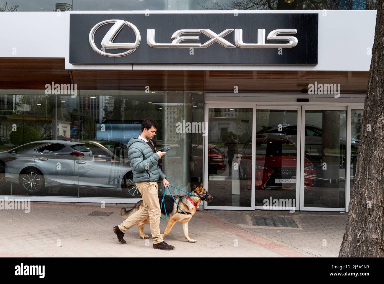 Lexus store hi-res stock photography and images - Alamy