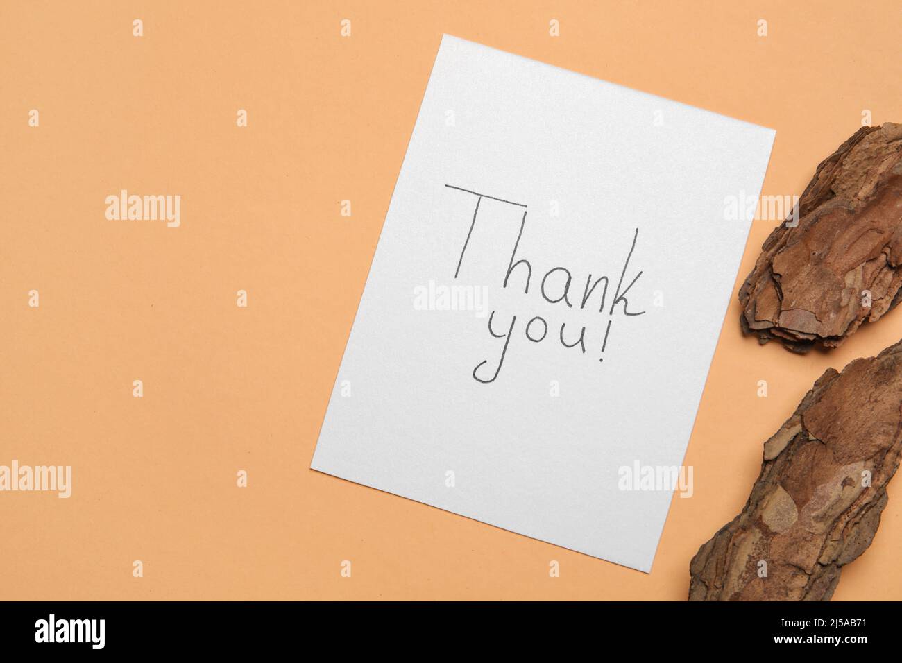 Paper sheet with text THANK YOU and tree bark on beige background Stock ...
