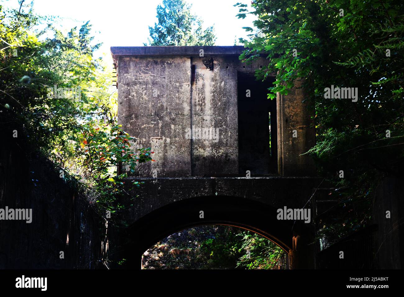 PLUTONIUM 241: These mortar batteries at Fort Hancock were among the ...