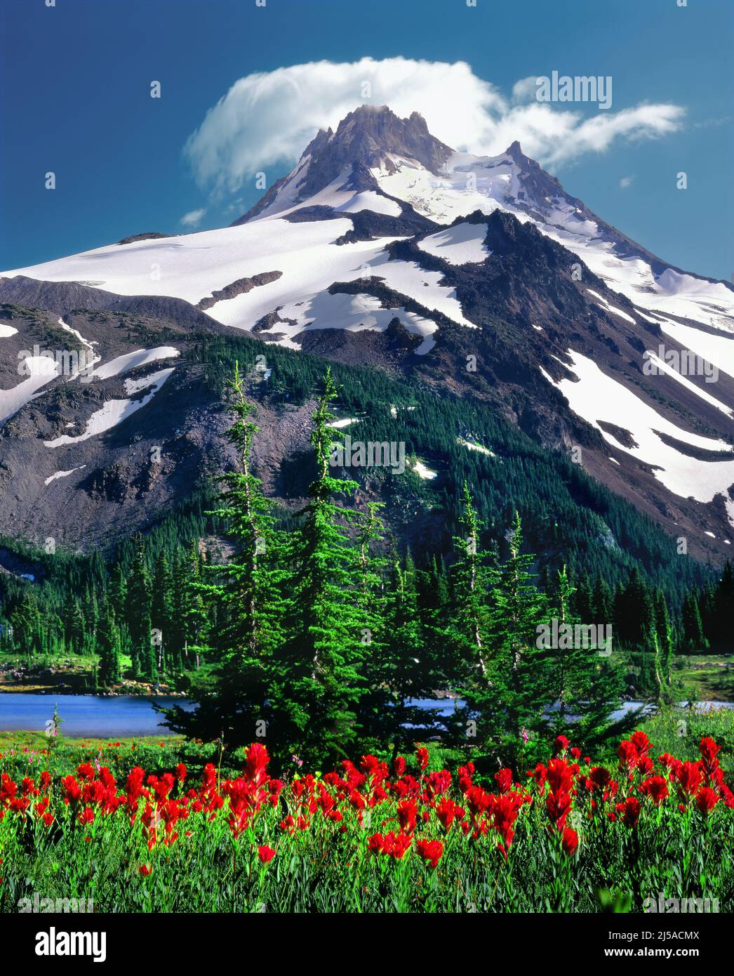 Mount Jefferson, Cascade Range, Oregon Stock Photo - Alamy