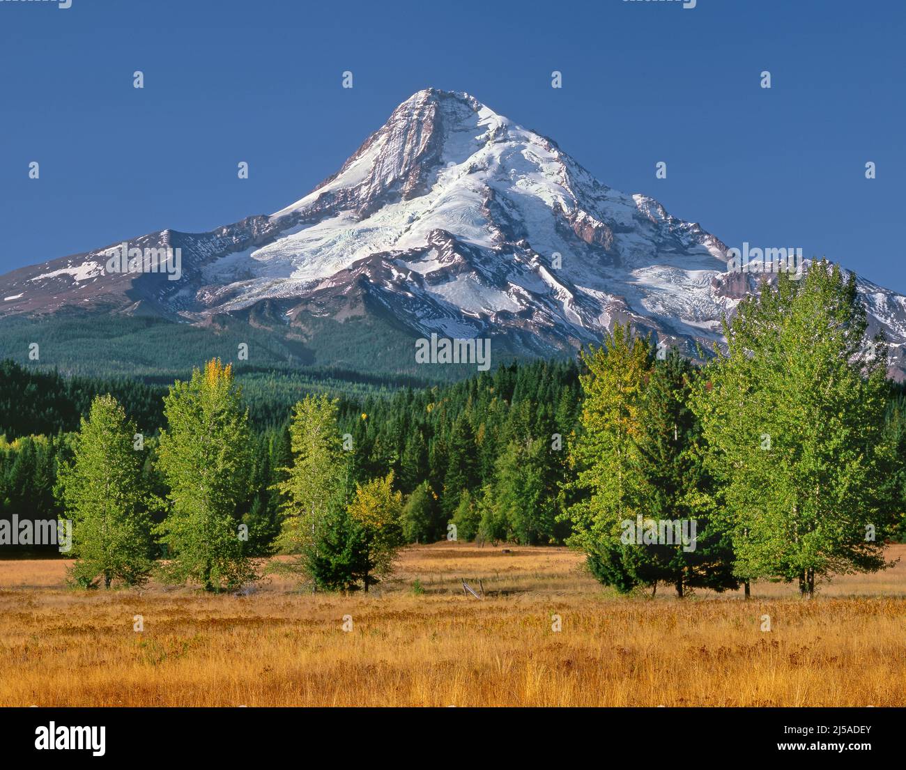 North Face of Mt. Hood, Cascade Range, Oregon Stock Photo - Alamy