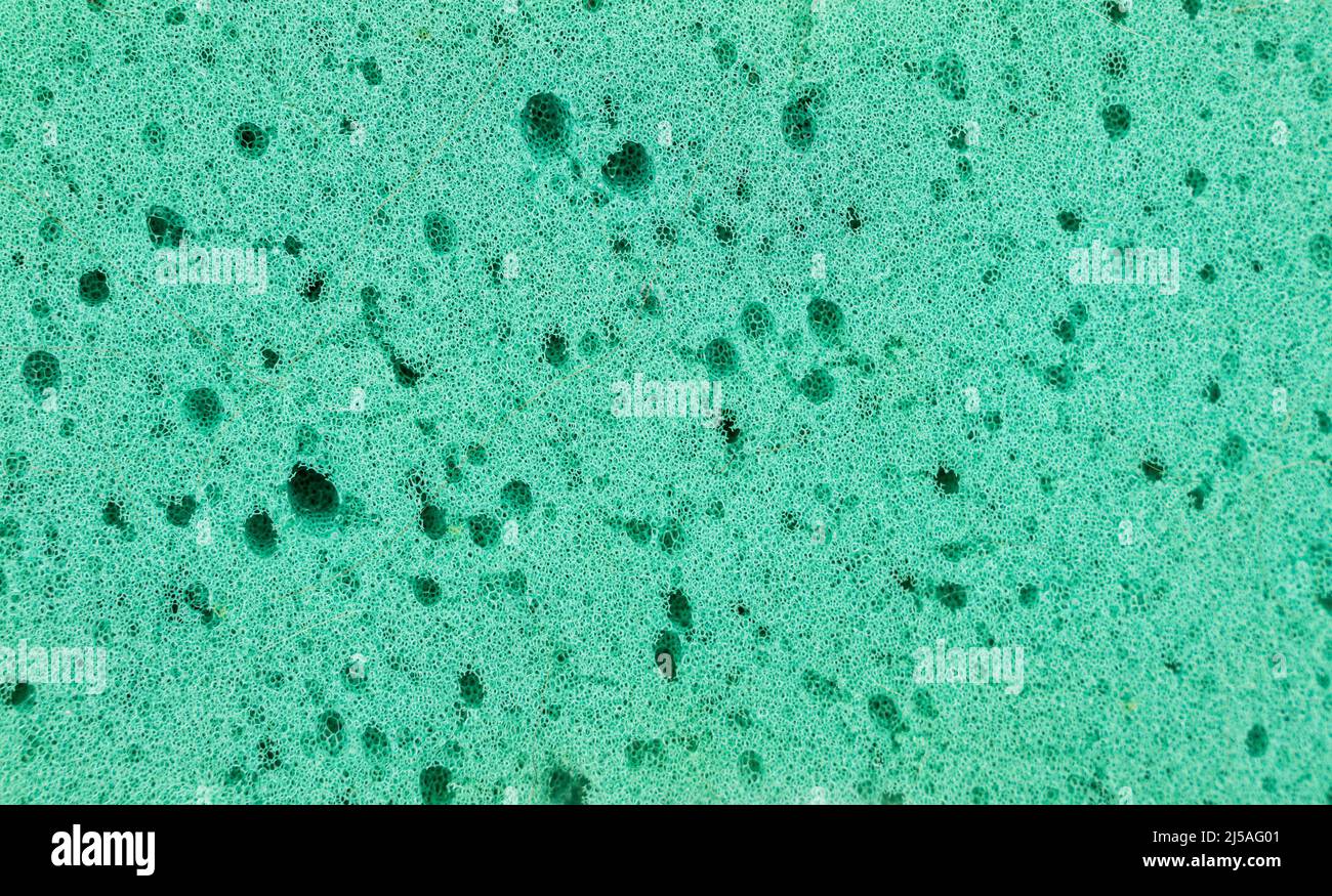 Green sponge detailed texture, sponge texture background. High quality ...
