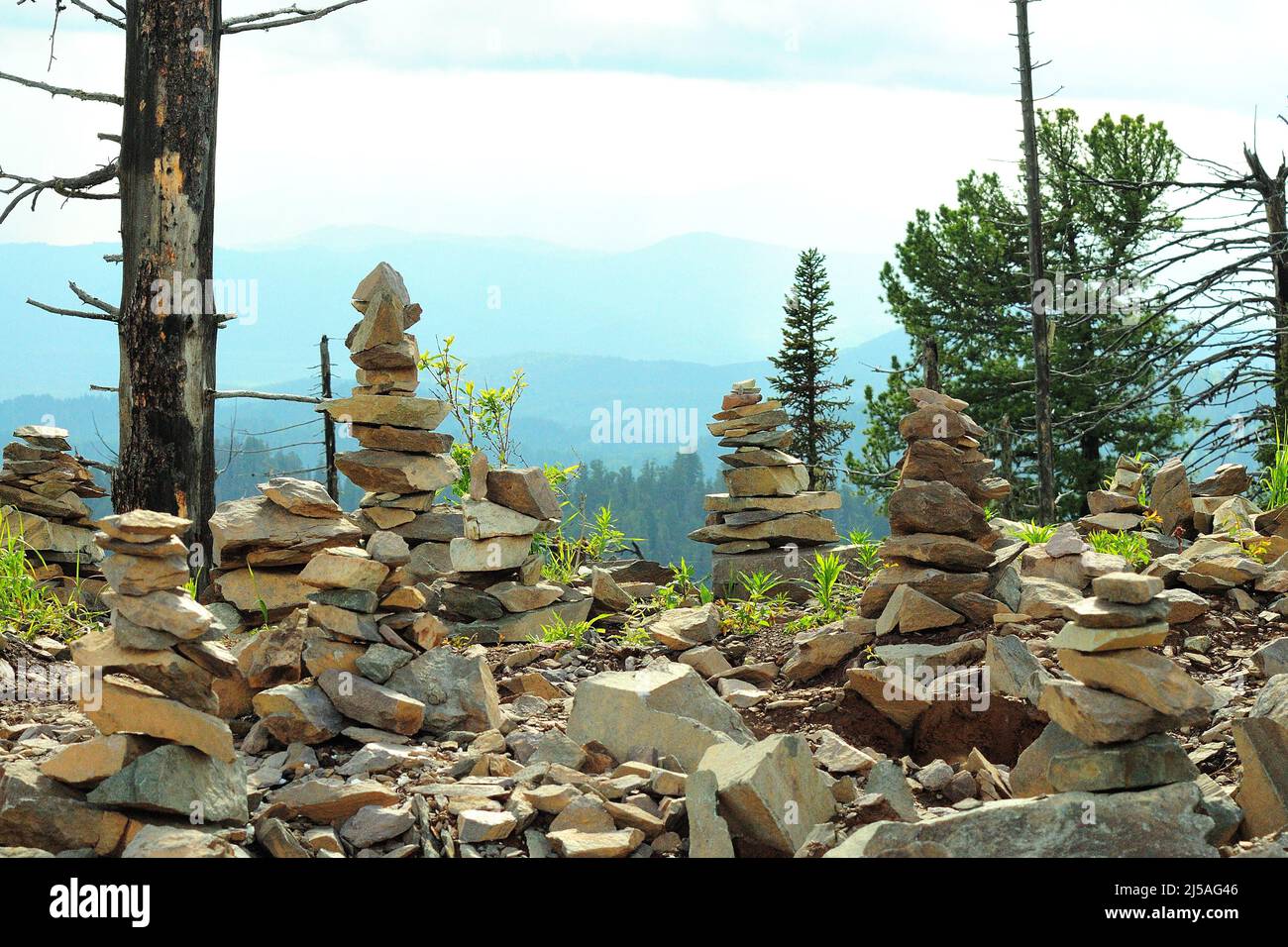 Sacred stone pyramids, young pine trees and dry tree trunks on a ...