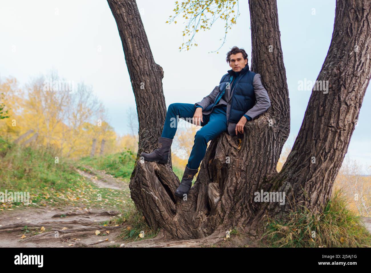 Tall handsome man climbing on the tree in autumn forest Stock Photo - Alamy